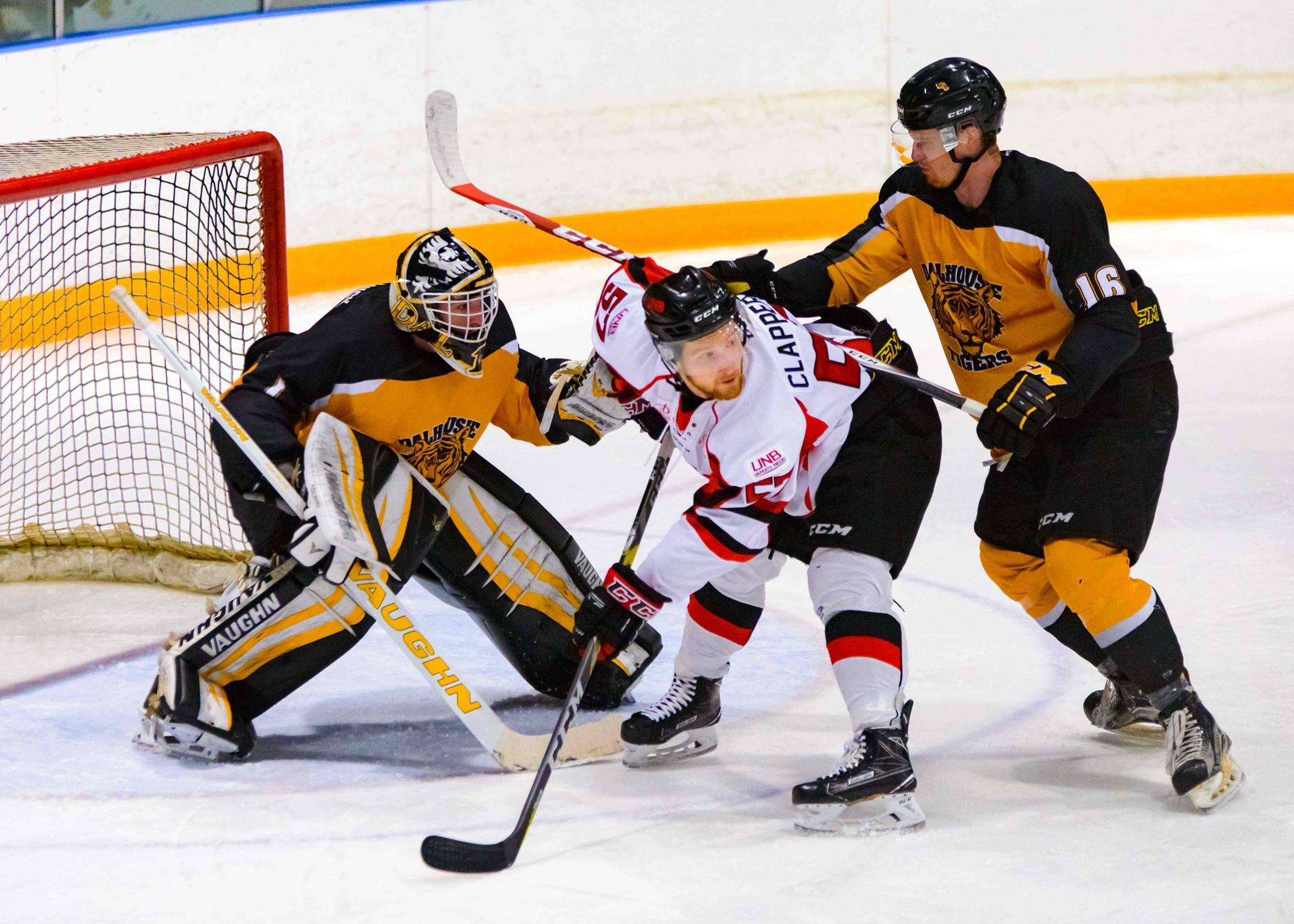 Une nomination prestigieuse pour Christopher Clapperton - Radio Gaspésie