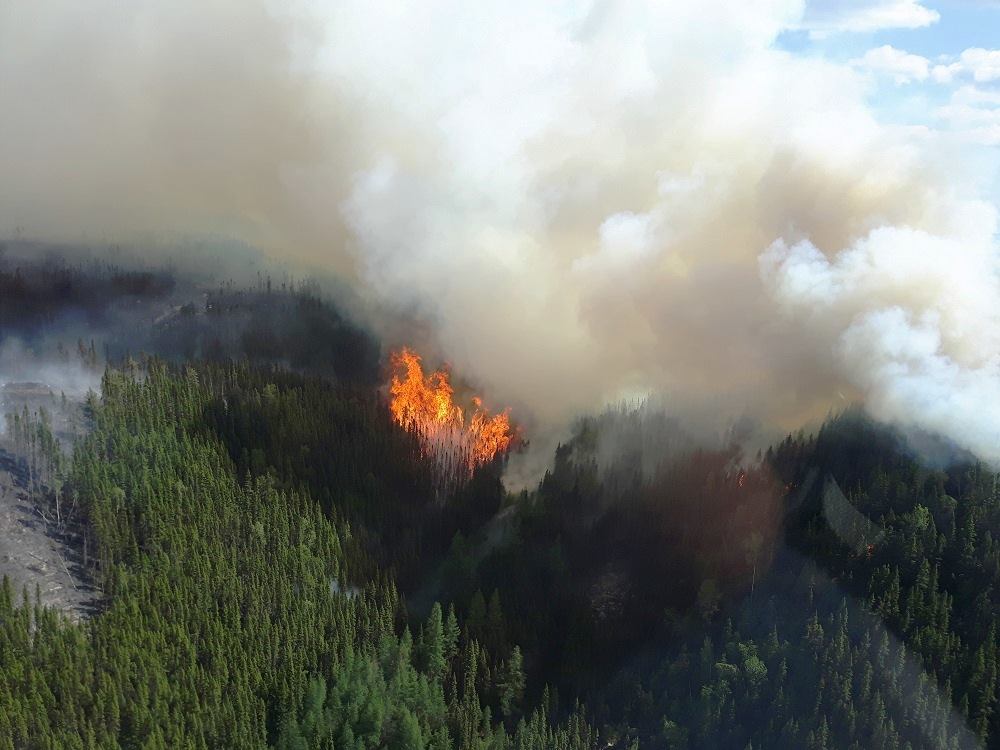 8 feux de forêt depuis le début de la saison