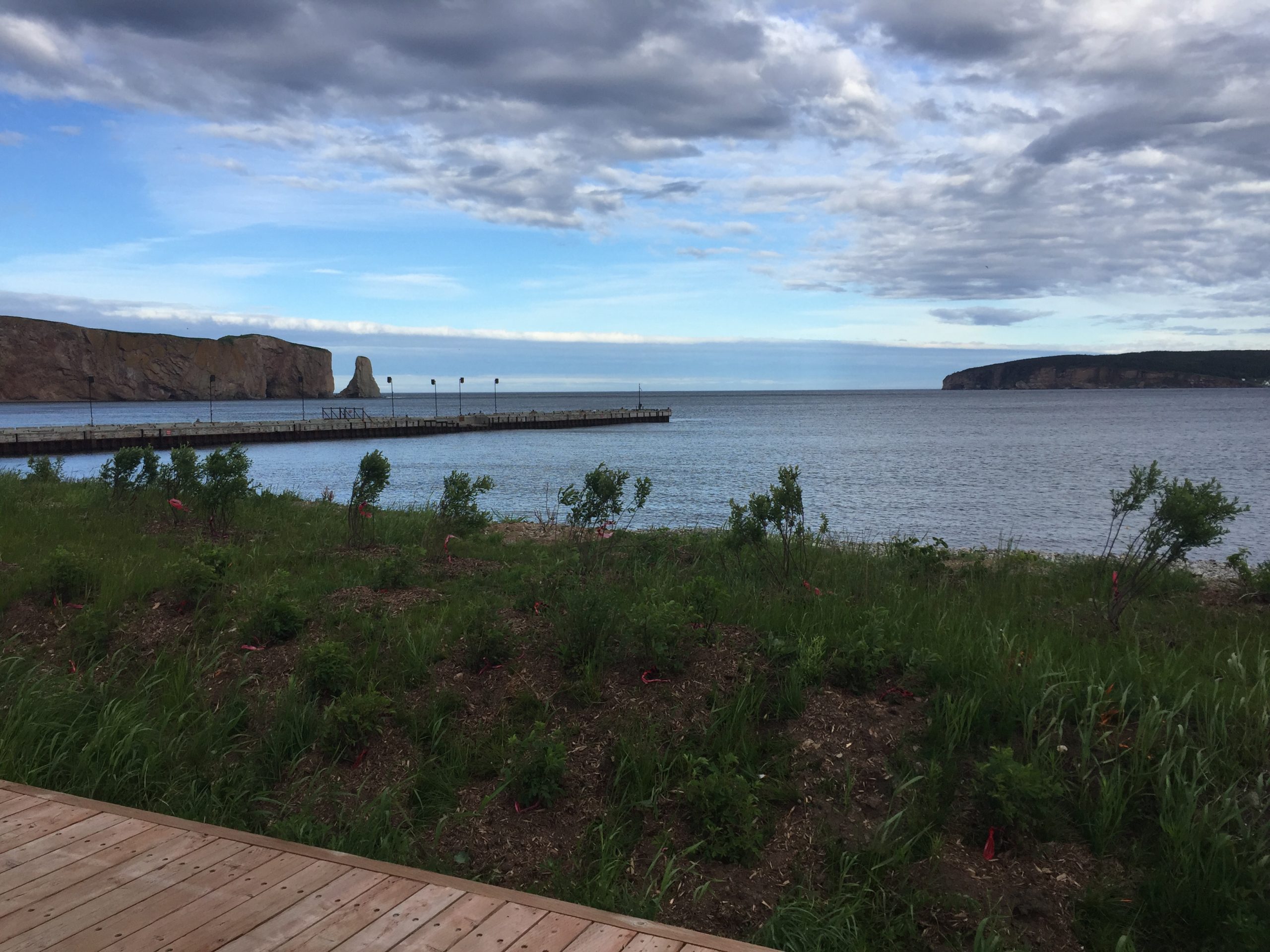Dévoilement de la Programmation des Percéides 2019 - Radio Gaspésie